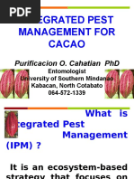Cacao Production Proposal | PDF | Cocoa Bean | Trees