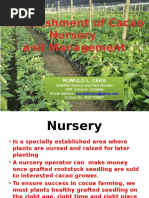 Coffee Nursery Management Guide | PDF | Seed | Plant Nursery