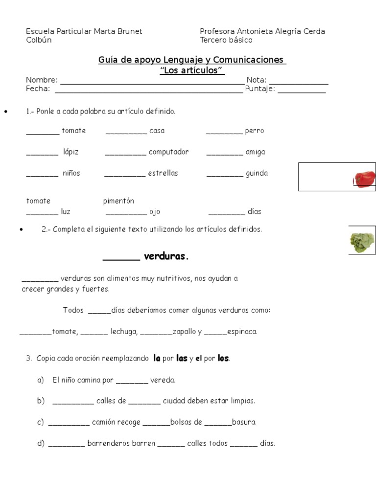 Guía de Artículos Definidos e Indefinidos | PDF