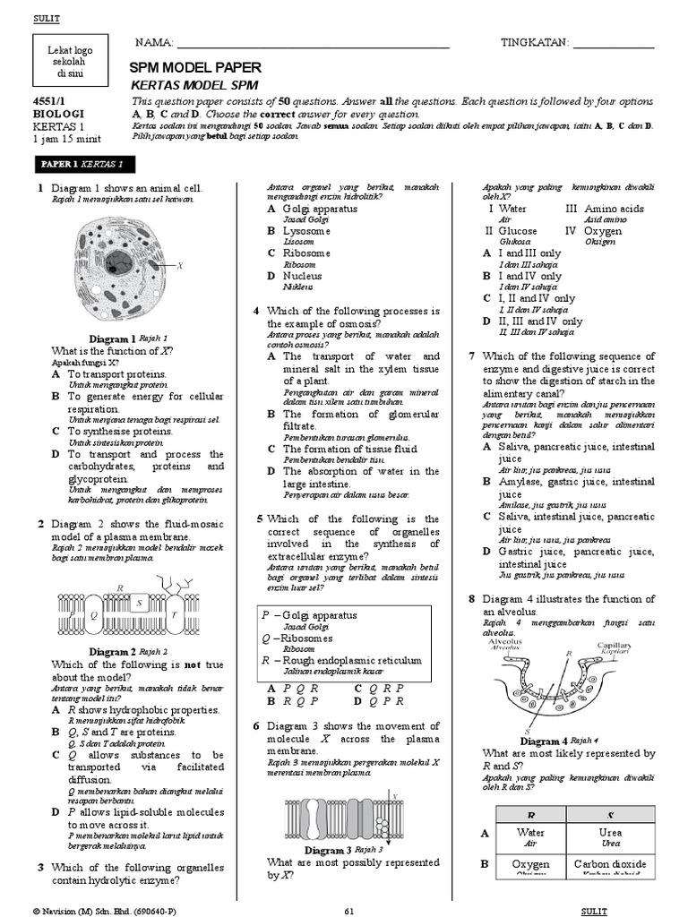 IT Bio F5 Final Year Examination (BL) | PDF | Language Arts ...