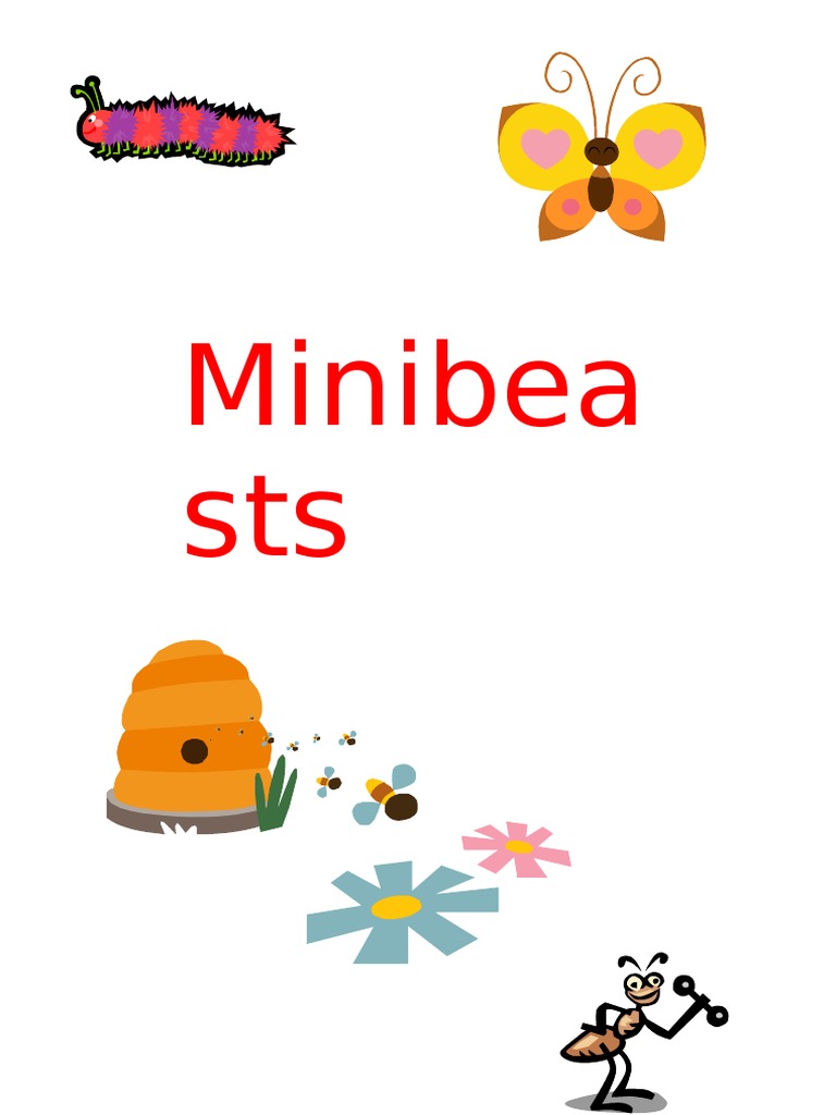 Minibeast Songs | PDF | Butterfly | Bees