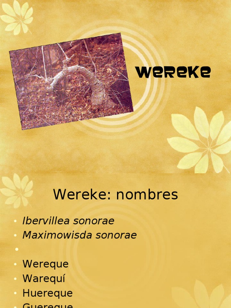Wereke Wereque Huereque Guereque | PDF | Diabetes | Especialidades Medicas