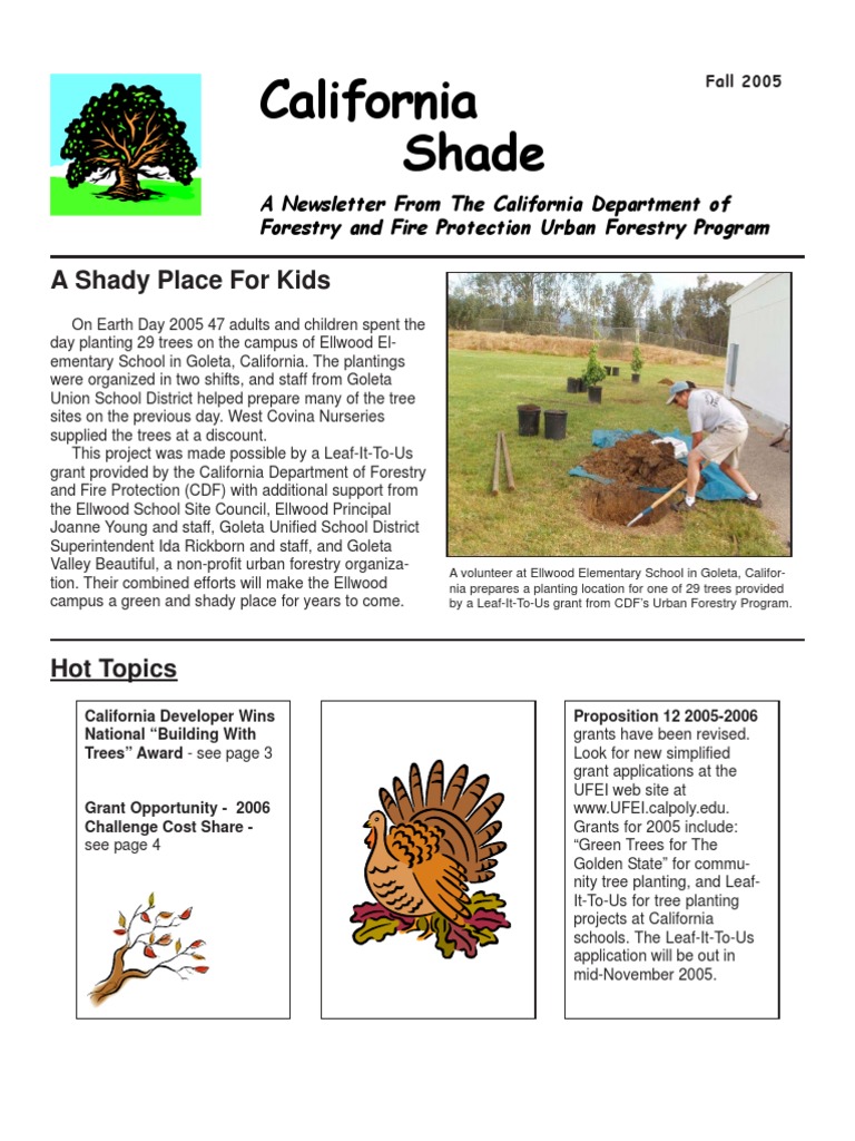 California Shade: A Shady Place For Kids | PDF | Forestry | California