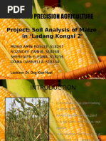 Mulder S Chart | PDF | Plant Nutrition | Nutrients