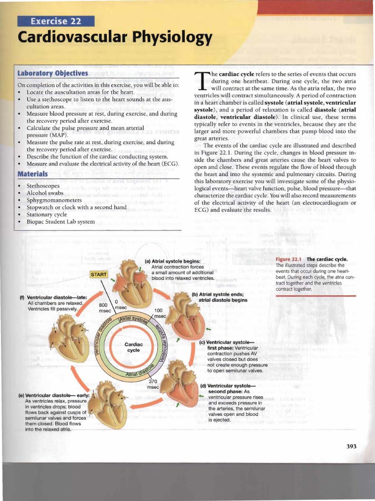 Cardiovascular Physiology Lab | PDF | Heart Valve | Atrium (Heart)