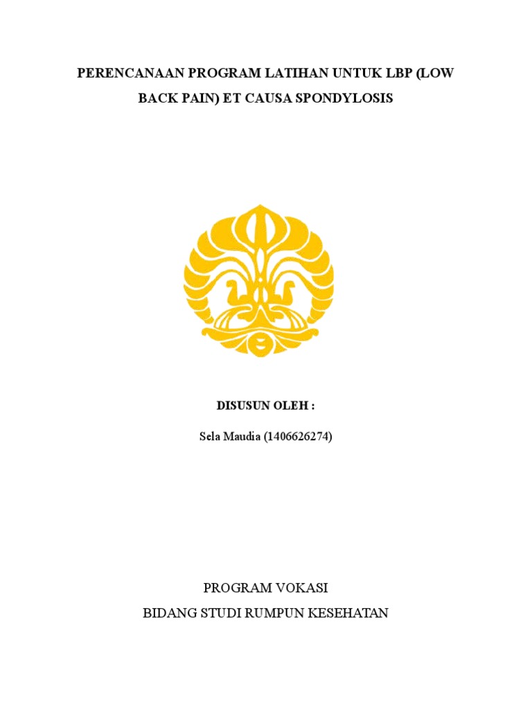 Fisioterapi Pada LBP Et Causa Spondylosis | PDF | Pengembangan Diri ...
