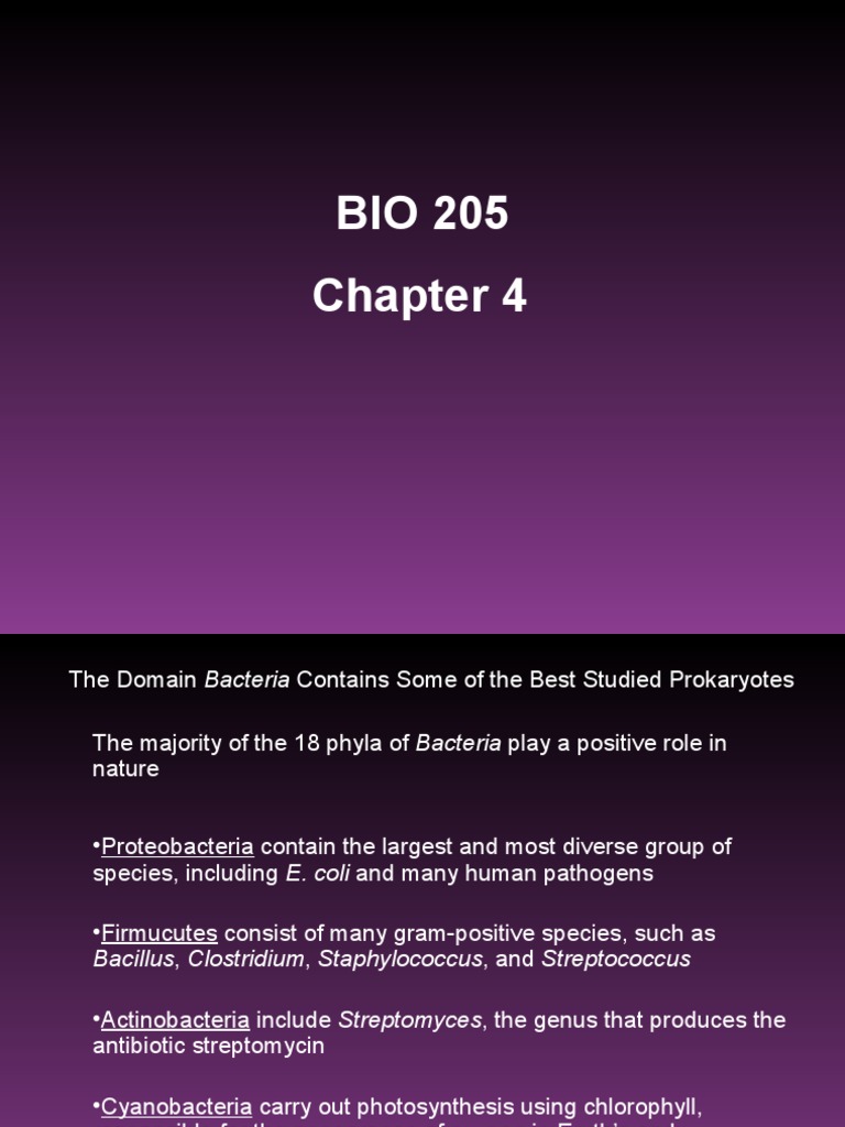 BIO 205 Chapter 4 Powerpoint | PDF | Cell Membrane | Cell (Biology)