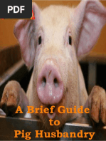 Pig Farming Layout and Planning Guide | PDF | Livestock | Domestic Pig