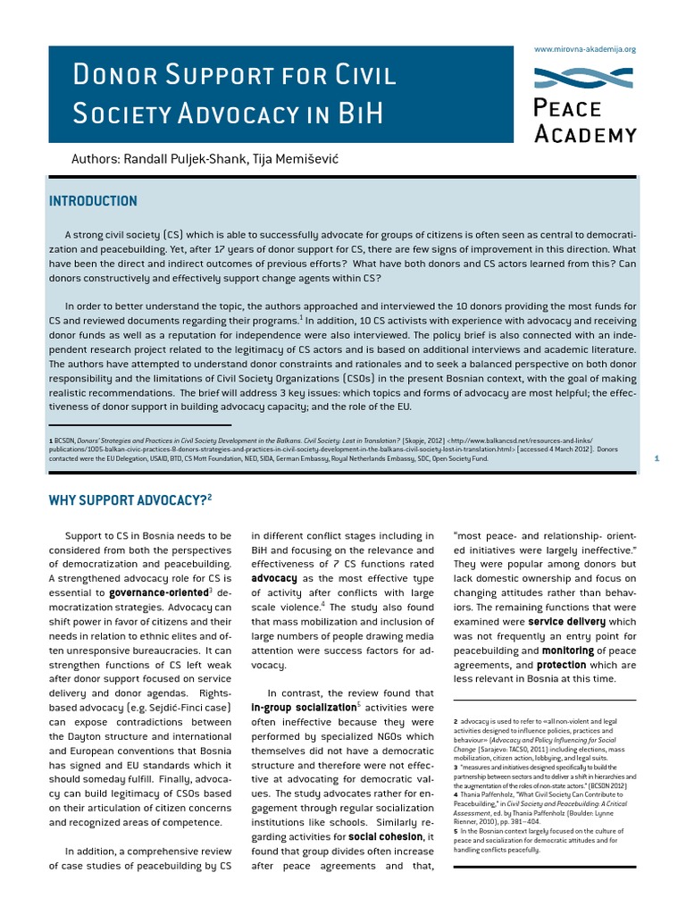 Donor Support For Civil Society Advocacy In Bosnia Herzegovina