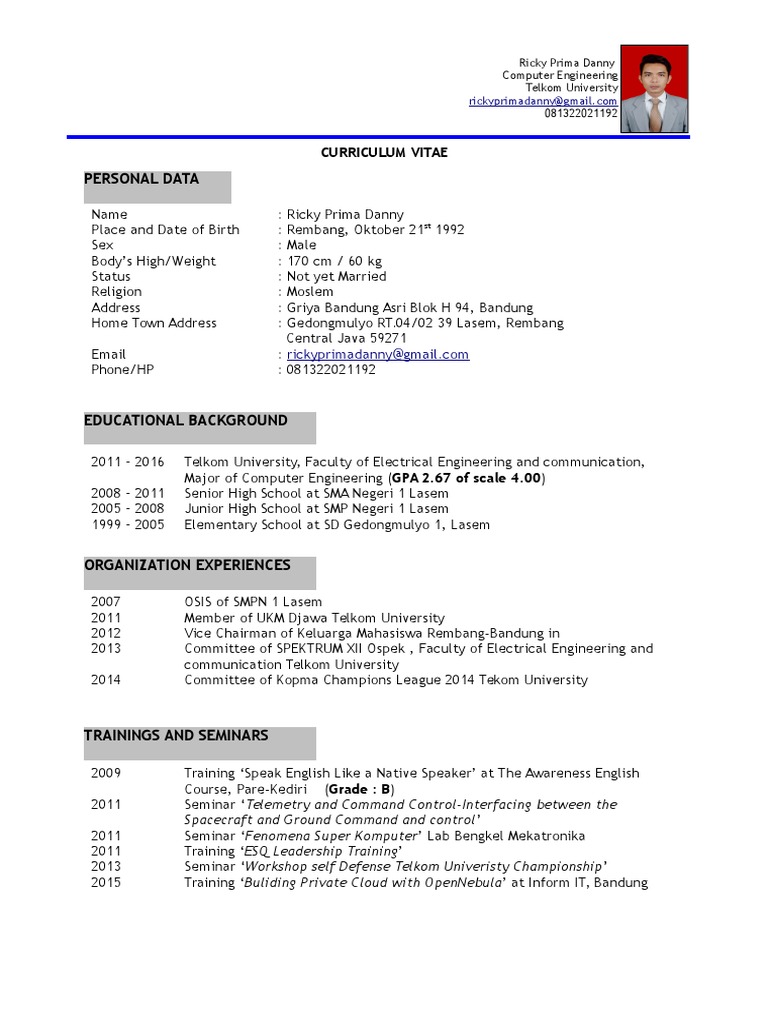 Personal Data: Curriculum Vitae | PDF | Information Age | Digital ...