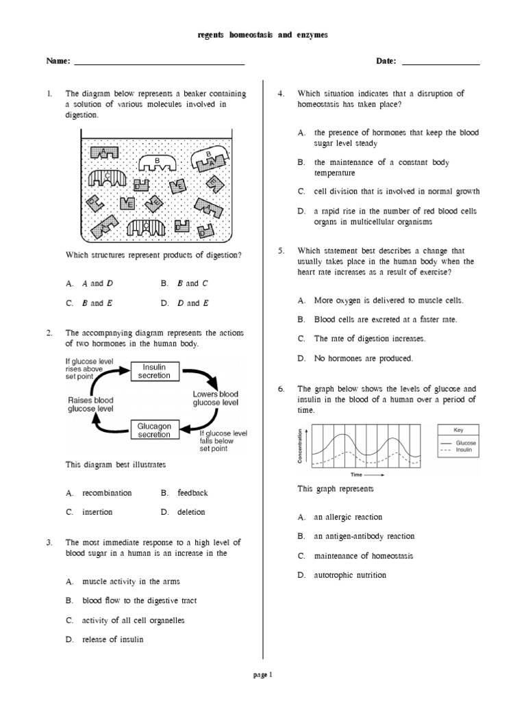 Regents Homeostasis and Enzymes | PDF | Homeostasis | Hormone
