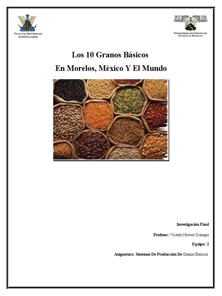 Granos Basicos | PDF | Maíz | México