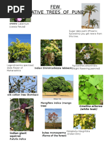 Botany Documents & PDFs | Scribd