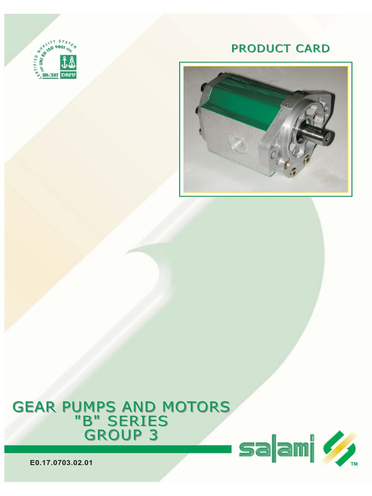 Salami Gear Pump Catalogue Overview | PDF | Gear | Pump
