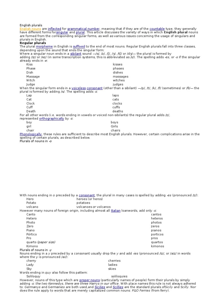 Understanding English Plural Nouns | PDF | Grammatical Number | Plural