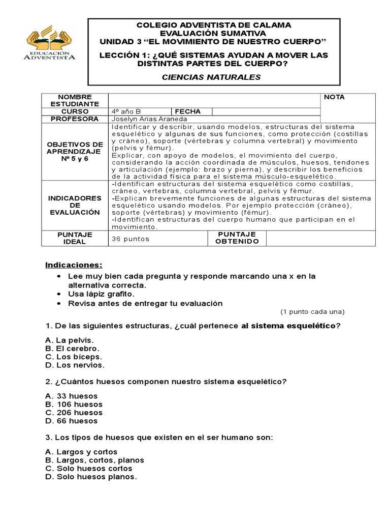 Prueba Sistema Óseo y Muscular | PDF | Hueso | Músculo