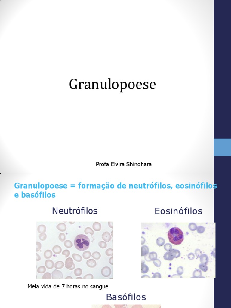 Granulopoese Clinica Em Pratica | Citocina | Imunologia