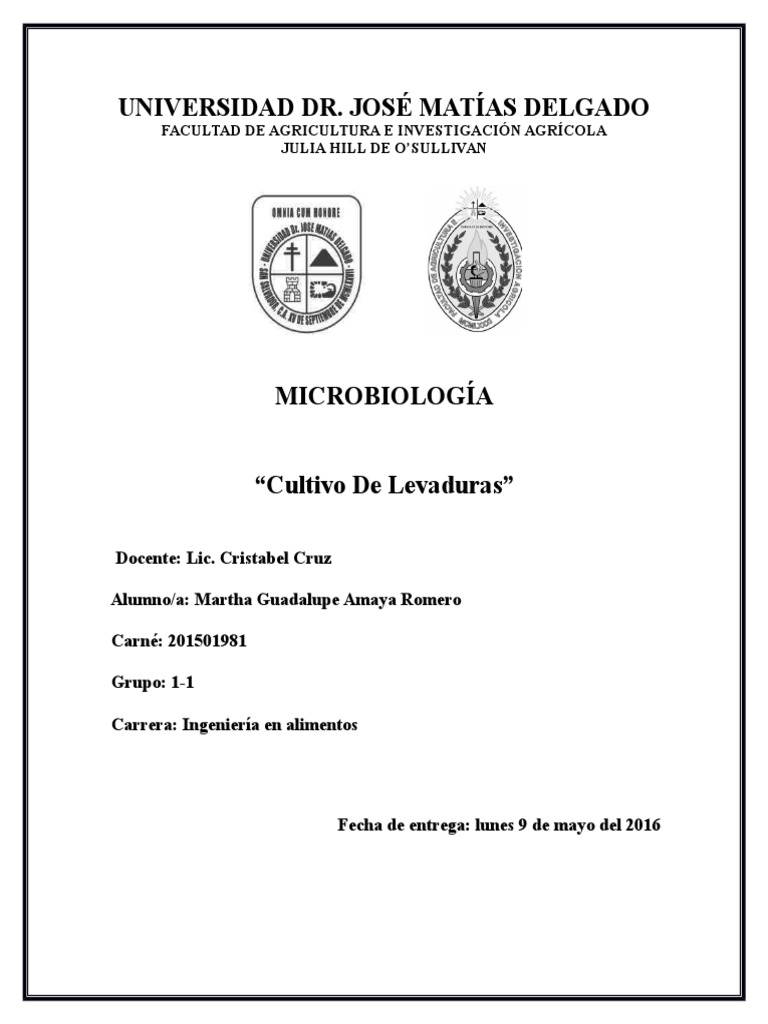 Cultivo De Levaduras Pdf Levadura Hongo