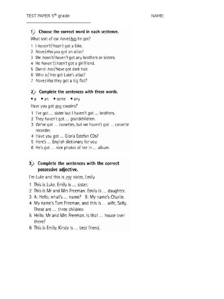 Test Paper 5th Grade | PDF