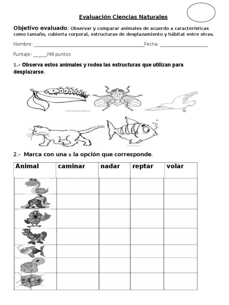 Actividades de Desplazamiento Animal para Niños | PDF | Métodos y ...