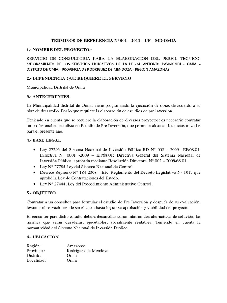 Modelo de Terminos de Referencia-consultor | Economias | Business