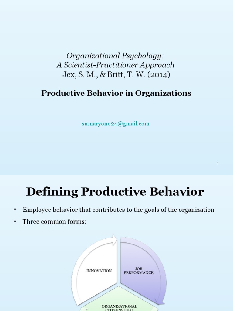 Productive Behavior in Organizations | Cognition | Psychology ...