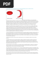 Infección Por Hongos en El Pene | PDF | Candidiasis | Medicina CLINICA