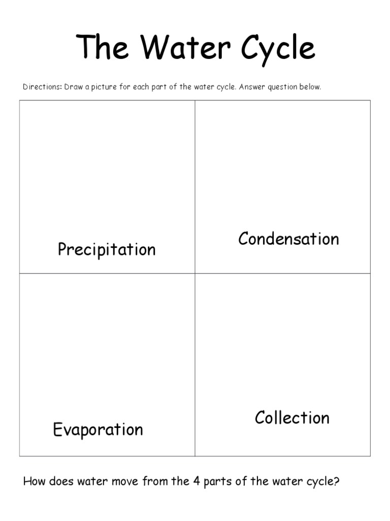 Understanding the Water Cycle Steps | PDF | Home & Garden