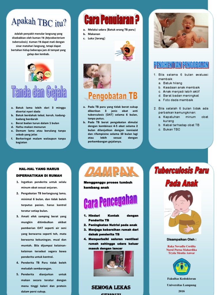 Leaflet TB Paru | PDF