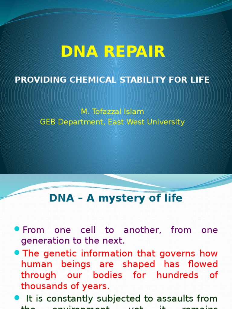 DNA Repair | PDF | Dna Repair | Dna