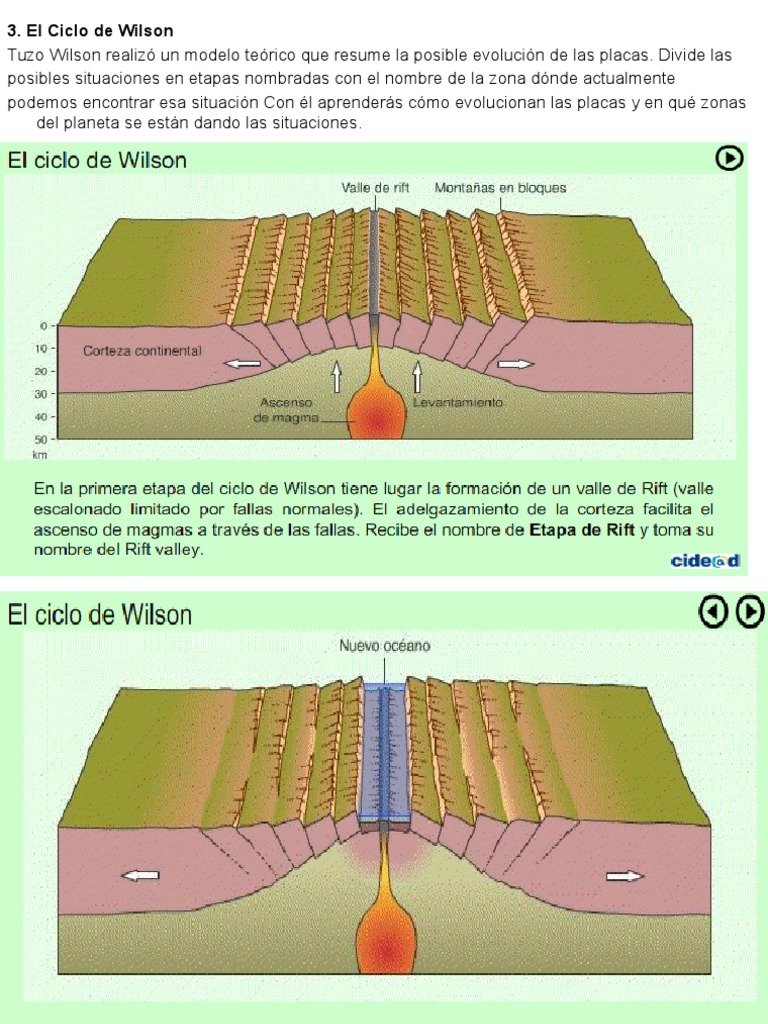 Ciclo de Wilson | PDF