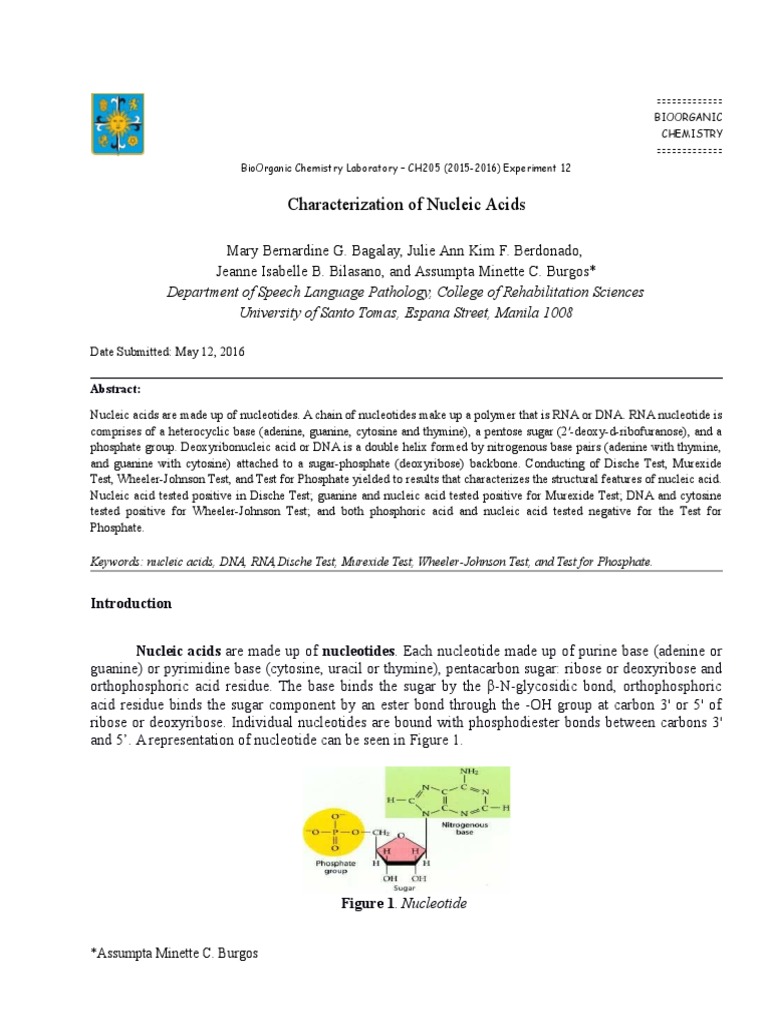 Nucleic Acids Characterization Tests | PDF | Rna | Nucleic Acids
