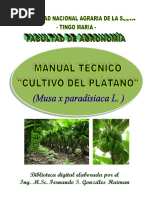 Curare Enano | PDF | Flores | Hoja