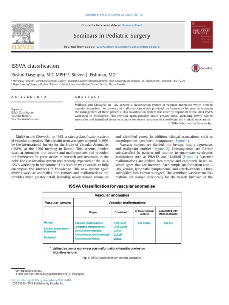 ISSVA Classification Overview 2024 | PDF | Neoplasms | Clinical Medicine