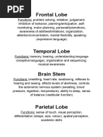 Anatomy of Brain Table | PDF | Cerebral Cortex | Thalamus