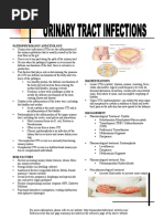 UTI - Concept Map | PDF | Urinary Tract Infection | Microbiology