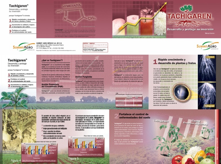 Tachigaren PDF | PDF | Aluminio | Tomate