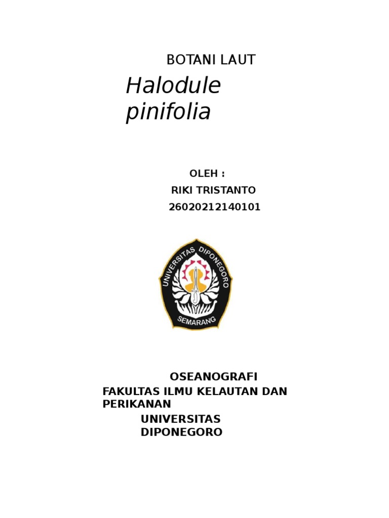 Lamun Halodule Pinifolia | PDF