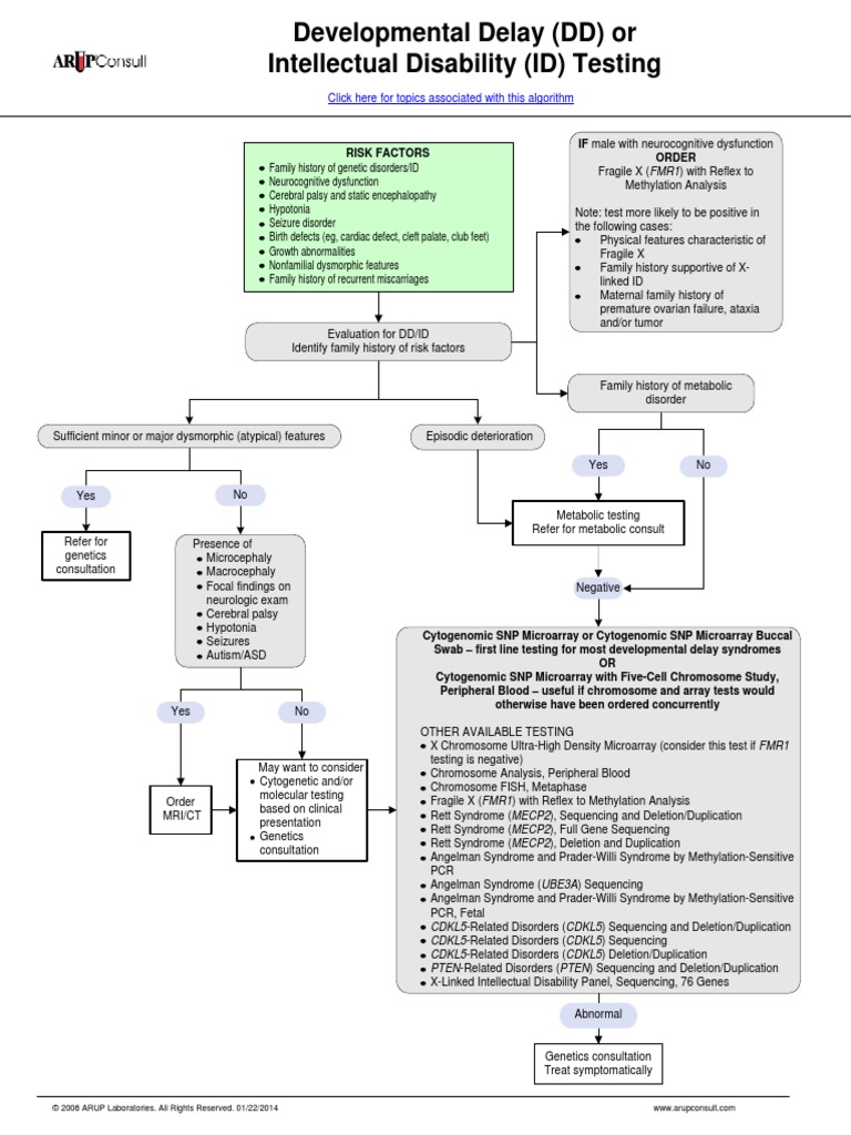 Developmental Delay (DD) or Intellectual Disability (ID) Testing ...