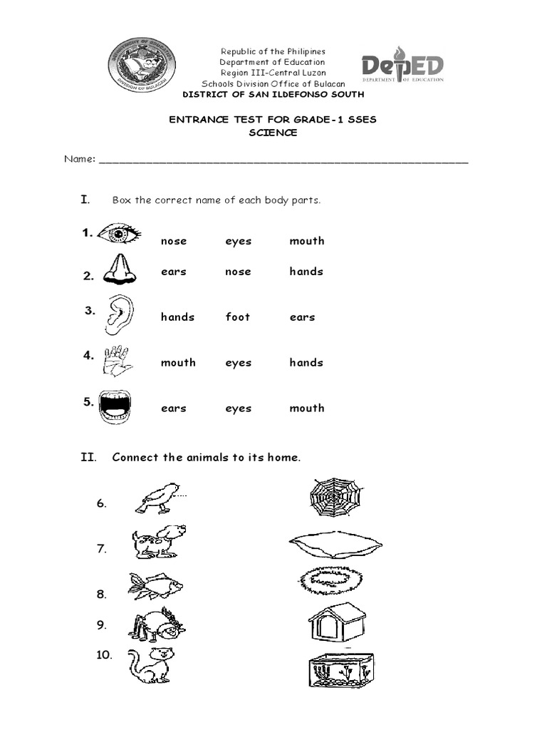 Grade 1 entrance test covers key subjects | PDF | Plants | Horticulture ...