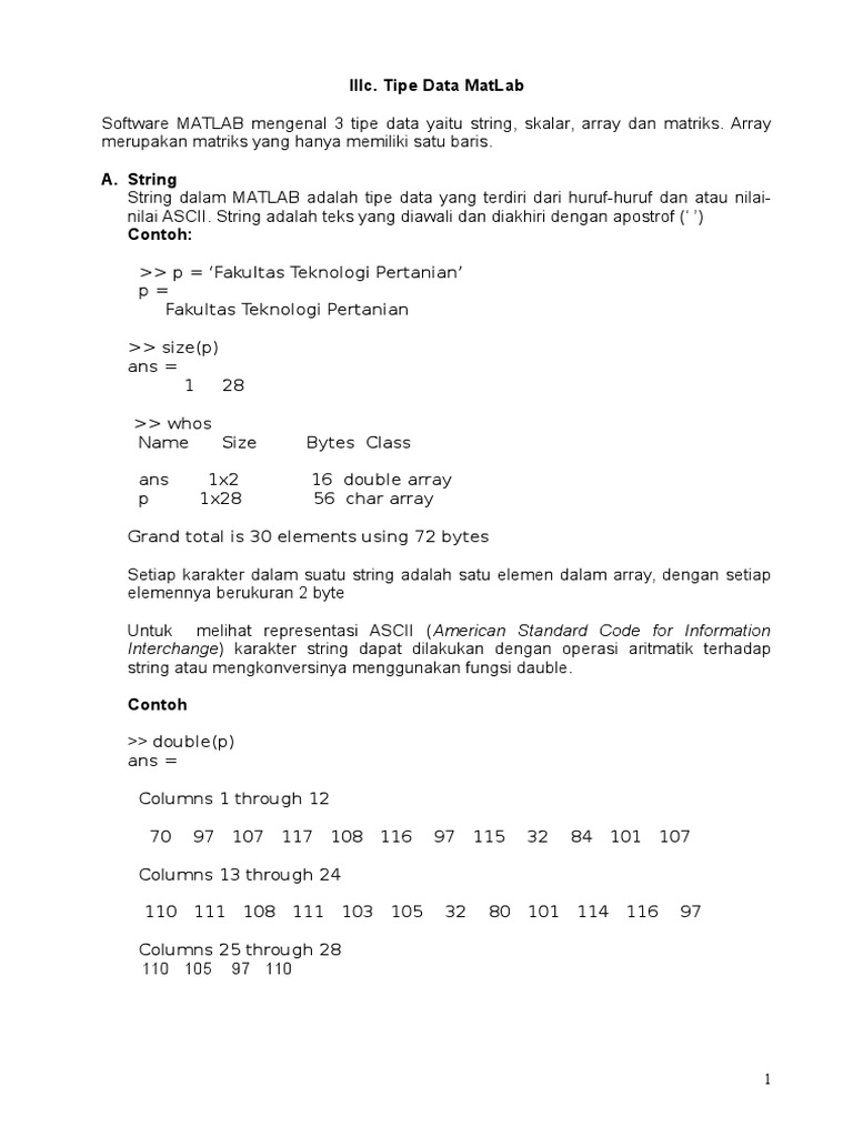 Panduan Tipe Data MATLAB | PDF | Metode & Bahan Ajar