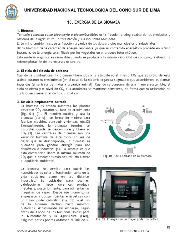Energia Biomasa | PDF | Biomasa | Bioenergía