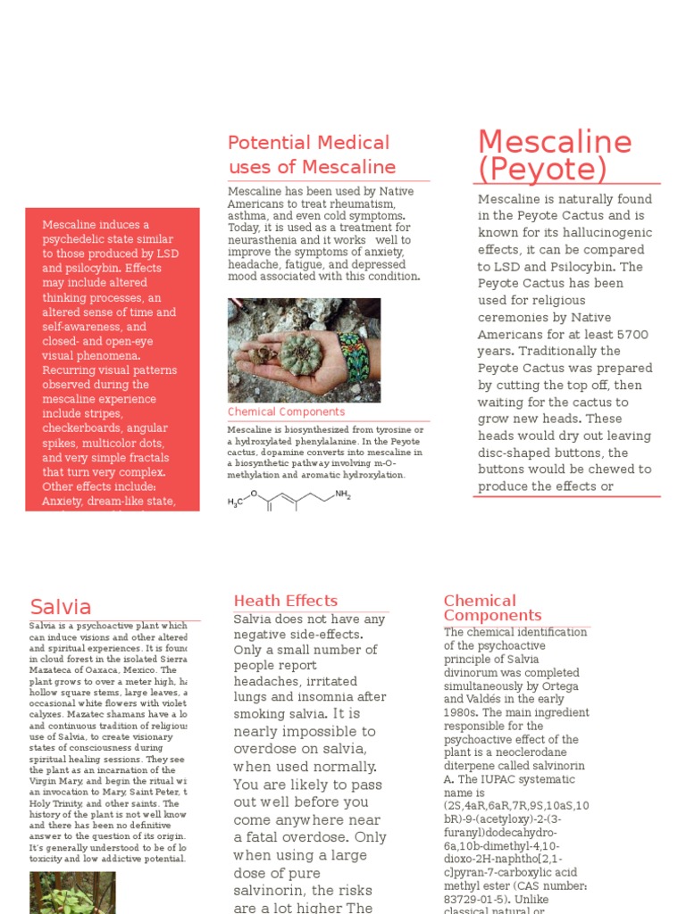 Drugs Brochure PDF Psychoactive Drugs Drugs