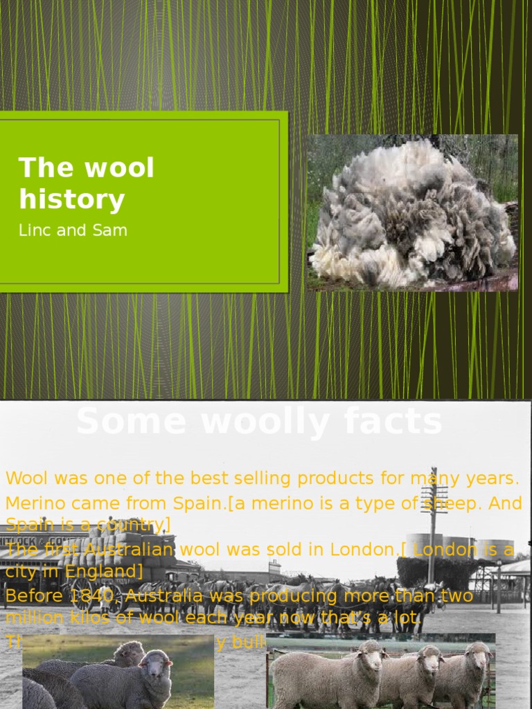 Wool History - Linc and Sam | PDF