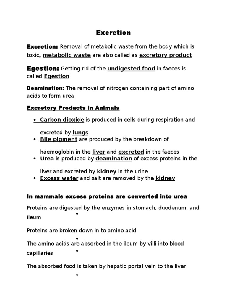 Excretion and Kidney IGCSE Notes 2016 | PDF | Kidney | Excretion