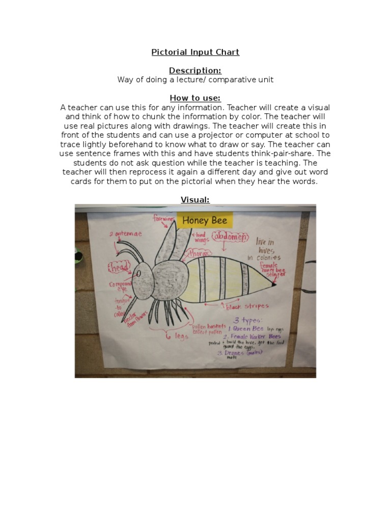 Pictorial Input Chart Description | PDF | Vocabulary | Cognitive Science