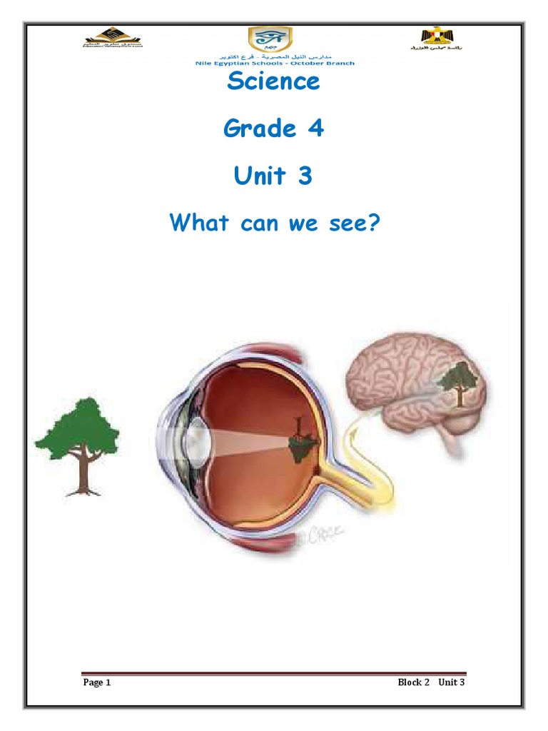 Science Grade 4 Unit 3: What Can We See? | PDF | Light | Eye
