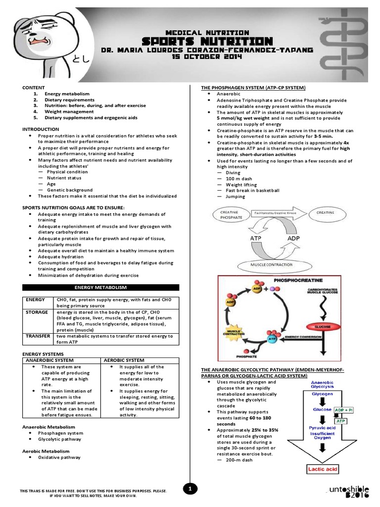 MedNut - Sports Nutrition PPT + Handout + Side Notes (Untoshible) | PDF ...