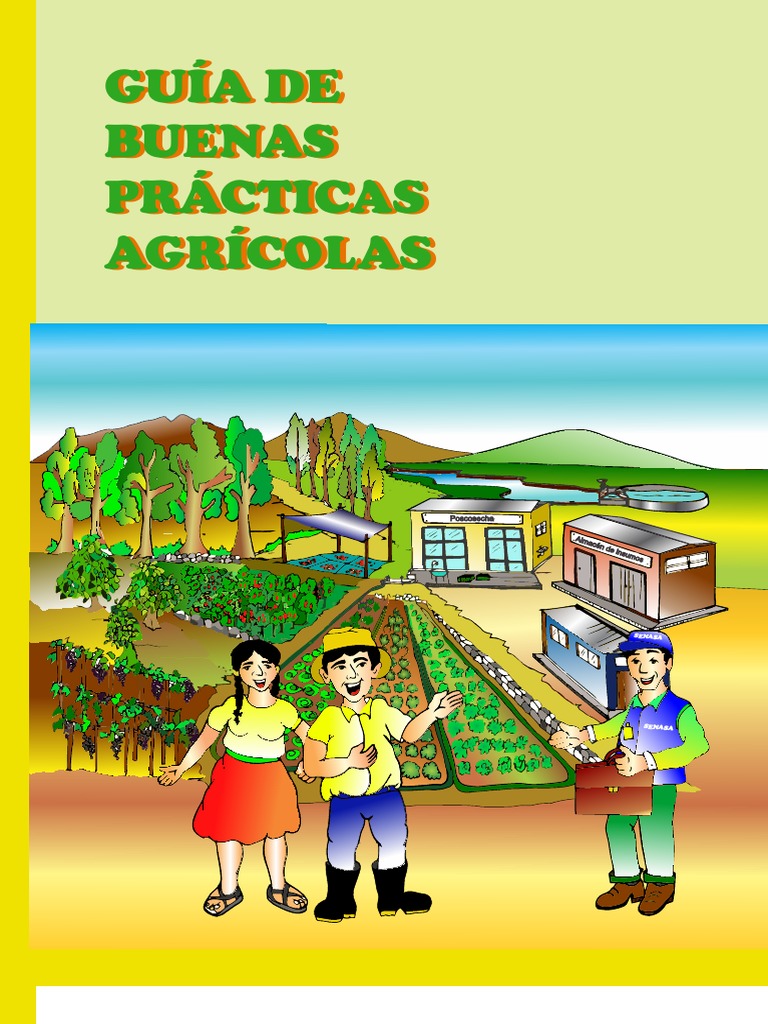 Guía de Buenas Prácticas Agrícolas | Riego | Pesticida | Prueba ...