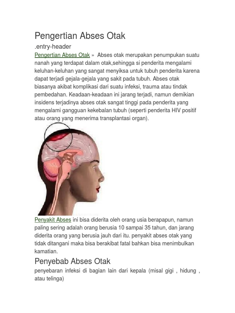 Pengertian Abses Otak | PDF